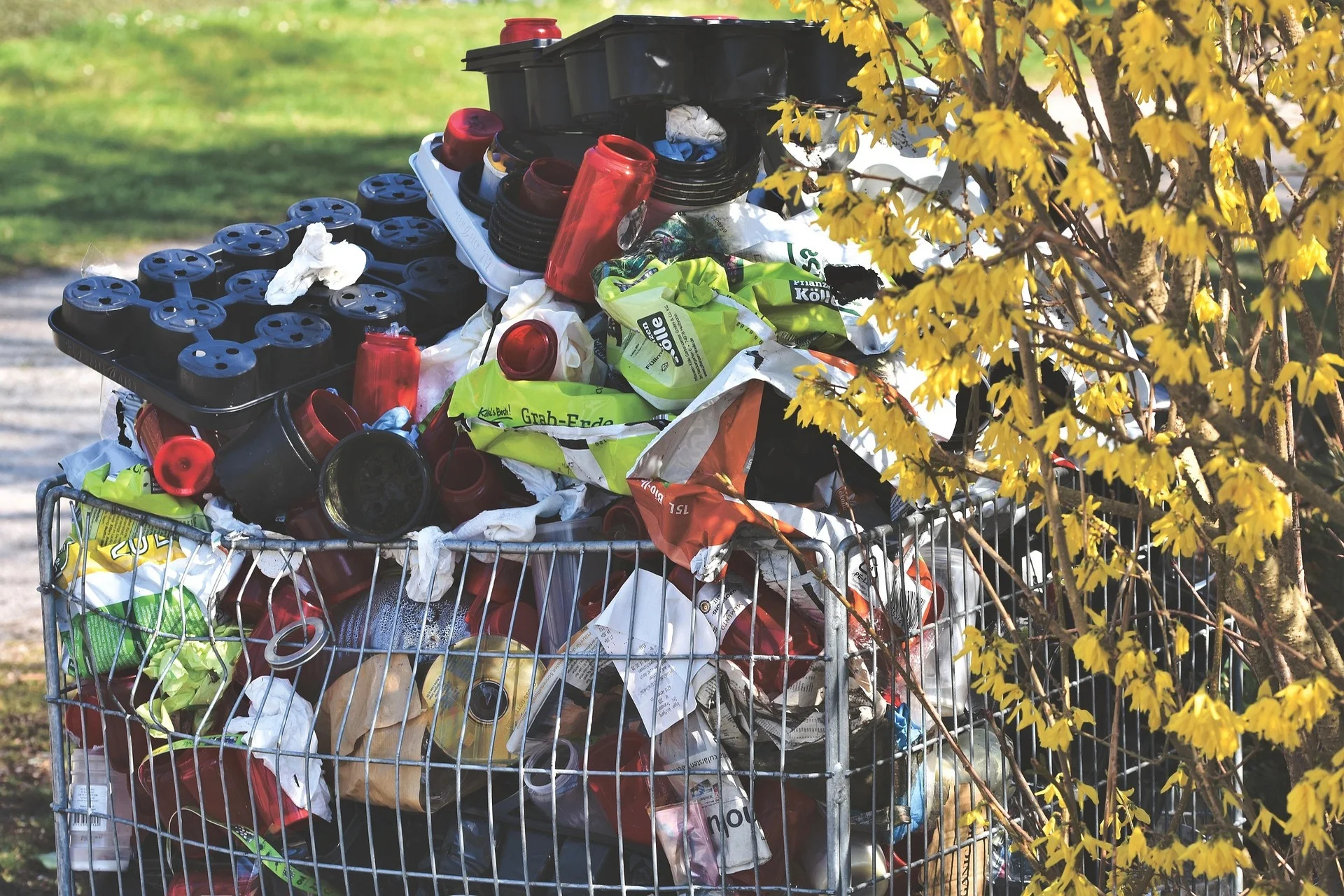 What to do if there is no waste collection? - Practical solutions in ...